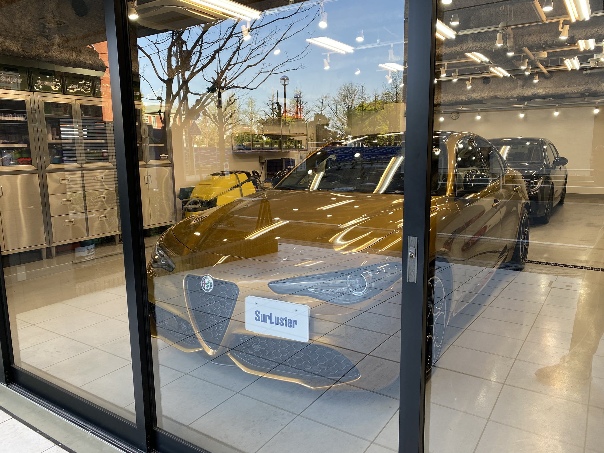 特徴 - SurLuster Lab